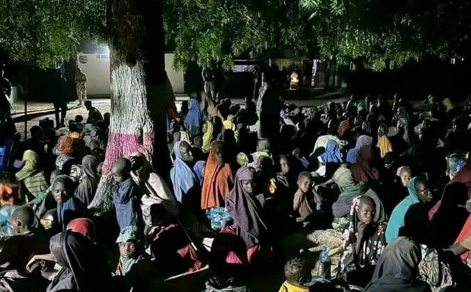 Confusion in Borno: 360 Freed, Four Infants Dead, But Ngoshe Families ...